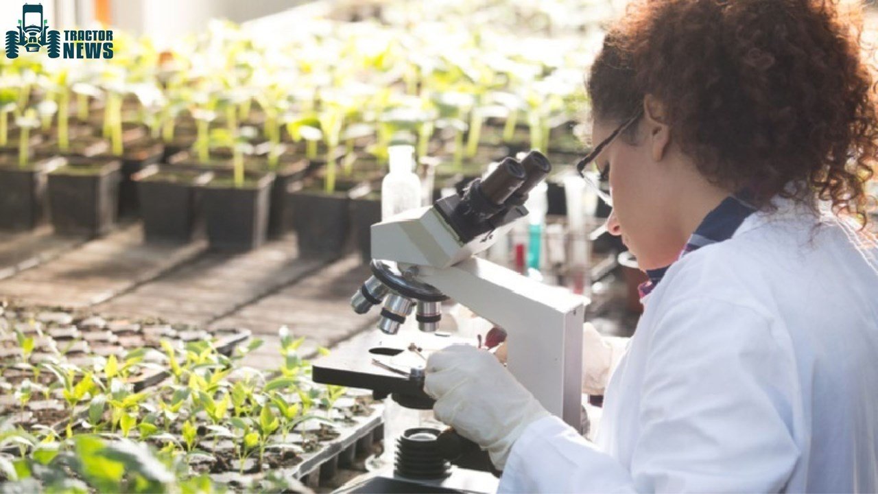 Biotechnology Its Endeavor Applications And Benefits In Agriculture